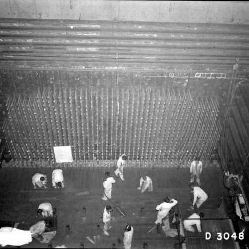 Photo Gallery - WSU Tri-Cities