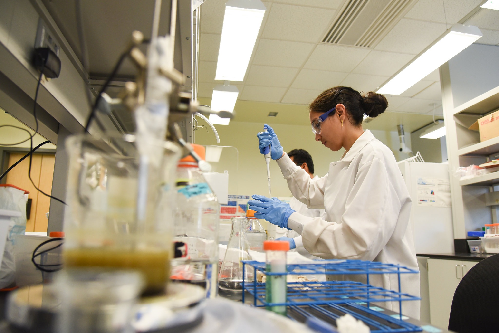 Celebrating 30 years officially as WSU Tri-Cities - WSU Tri-Cities