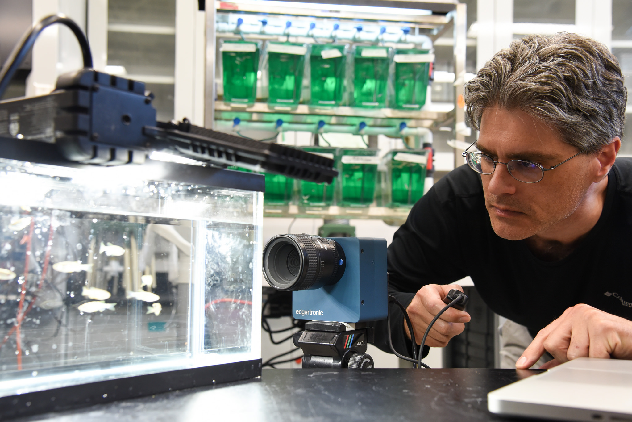 Professor aims to pinpoint crucial components of evolutionary success ...