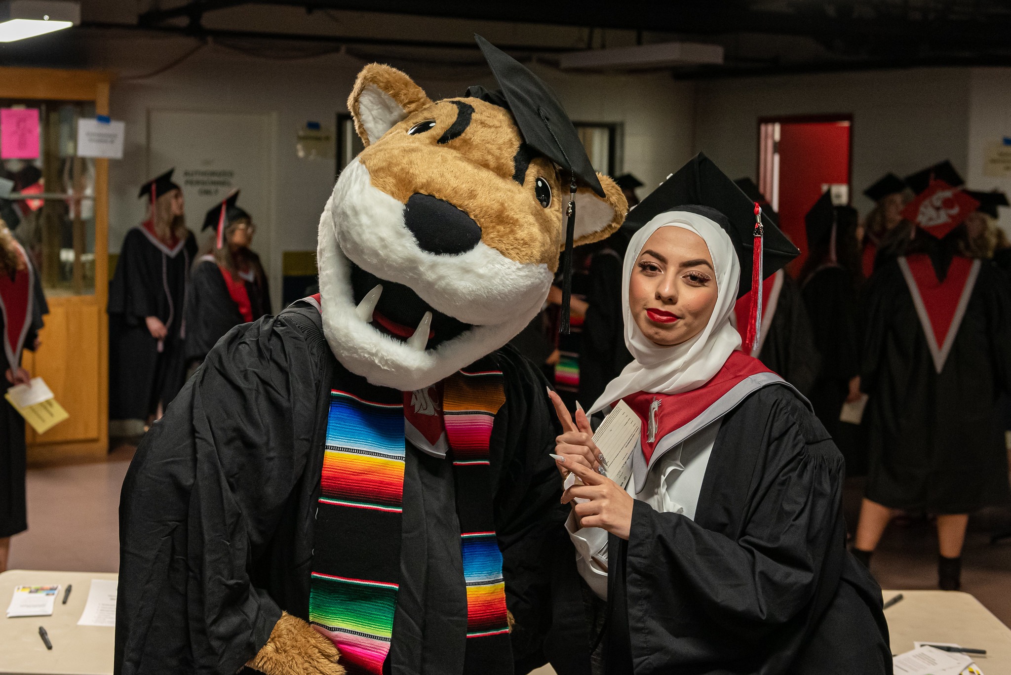 Butch T. Cougar Mascot - WSU Tri-Cities
