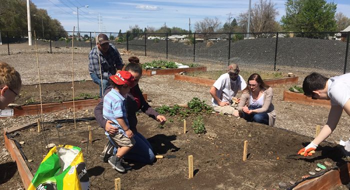 Education course using community garden, partnership practices to ...